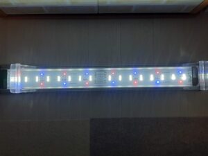 ド定番！！「GEX クリアLEDパワーⅢ」レビュー | AQUAjp